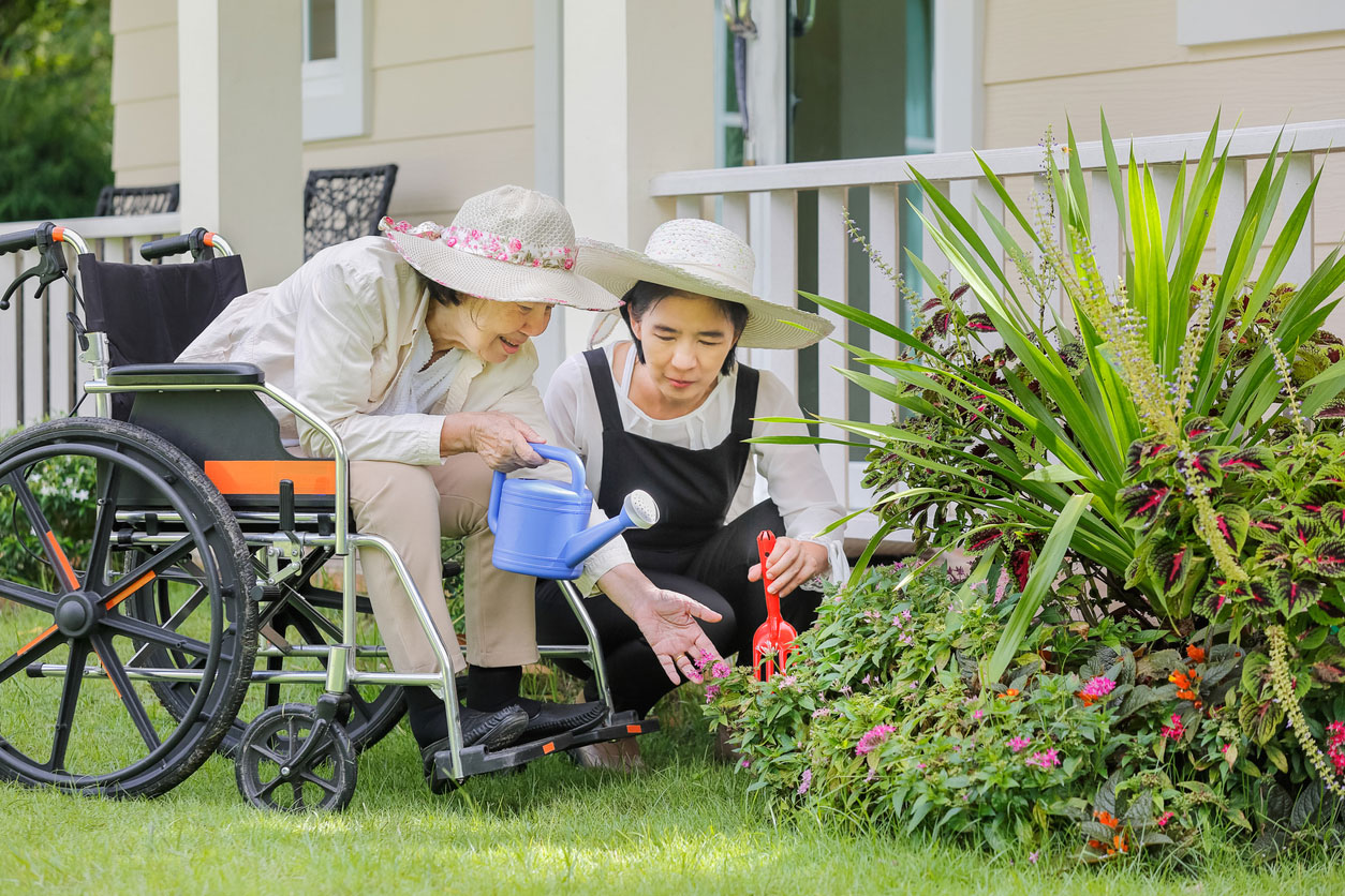 Gardening Without Limits: Tips for Seniors with Limited Mobility ...